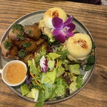 O2 EATERY - Updated July 2025 - 188 Photos & 107 Reviews - 1746 Solano ...