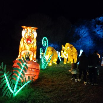 GLOWFARI - Updated December 2025 - 572 Photos & 70 Reviews - 9777 Golf ...