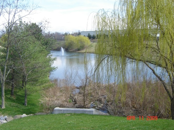 NEW WORLD PASTA - Updated May 2025 - 95 Shannon Rd, Lower Paxton ...