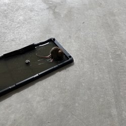 PRO ACTIVE PEST CONTROL - 22 Photos & 64 Reviews - Pest Control - 450 W ...