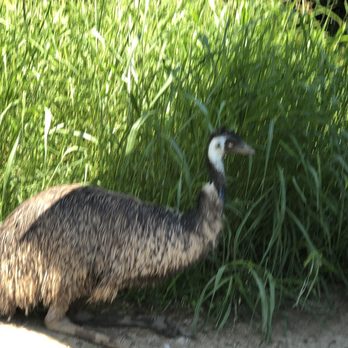 MERCED FRUIT BARN - Updated November 2024 - 43 Photos & 25 Reviews ...