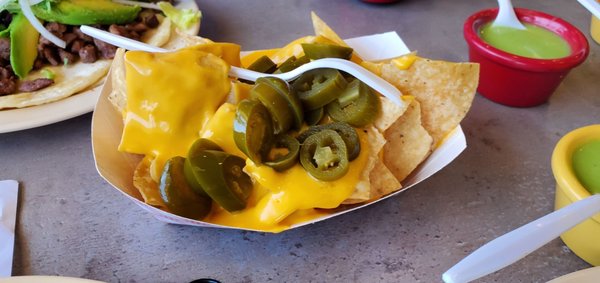 FLAUTAS Y PALETERIA TEPALCA - 72 Photos & 63 Reviews - 5198 Doniphan Dr ...