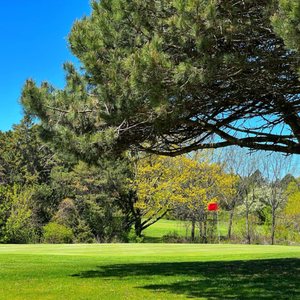JOHNSON PARK GOLF COURSE - Updated October 2025 - 6200 Northwestern Ave ...