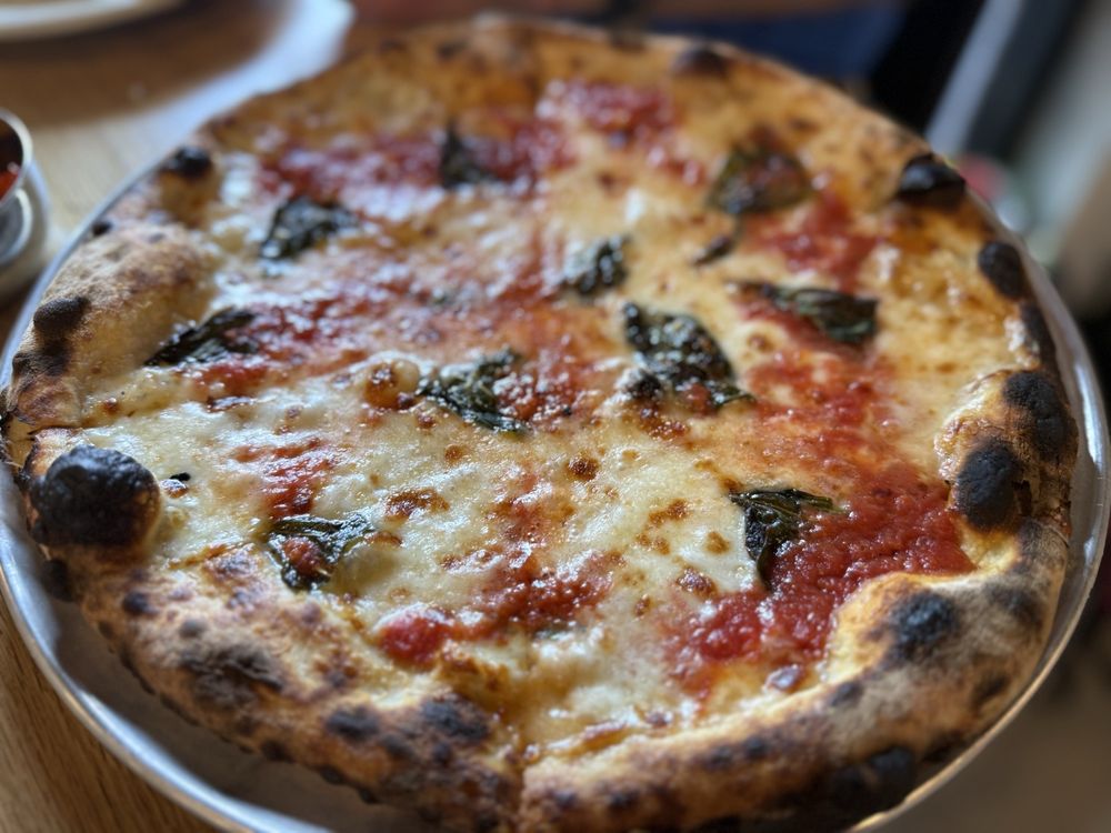 CAVOLO - Updated October 2025 - 35 Photos & 17 Reviews - 54 N Broad St ...