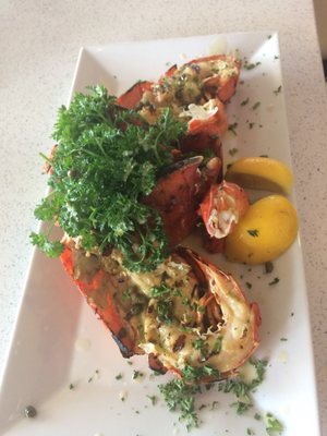 GALINI GREEK RESTAURANT - 189 Photos & 145 Reviews - 7491 N Federal Hwy ...