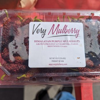 VERY MULBERRY - Updated June 2024 - 114 Photos & 25 Reviews - 501 ...