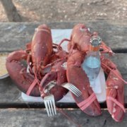 SANTA ROSA SEAFOOD - 197 Photos & 296 Reviews - 946 Santa Rosa Ave ...