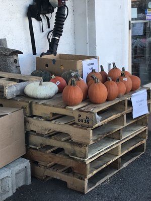 YARD PLACE - Updated December 2025 - 1793 Pine Hollow Rd, Mc Kees Rocks ...