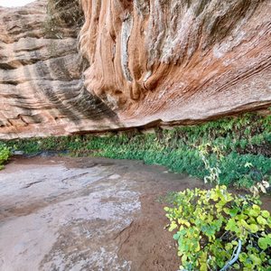 ANTELOPE RIDGE ADVENTURE PARK - Updated July 2025 - 22 Photos - Page ...