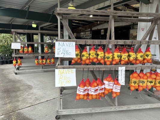 BECNEL BEN SOUTH LOUISIANA CITRUS & VEGETABLE FARM - Updated December ...