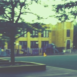 NEWBERRY MATH & SCIENCE ACADEMY - 16 Photos - Elementary Schools - 700 ...