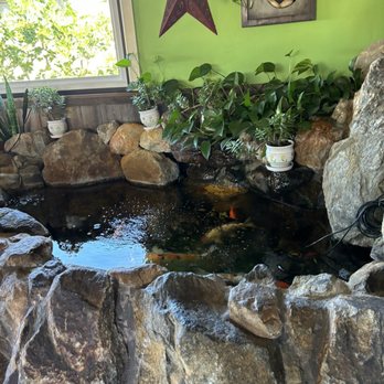 GREEK STYLE CHICKEN - Updated December 2025 - 89 Photos & 254 Reviews ...