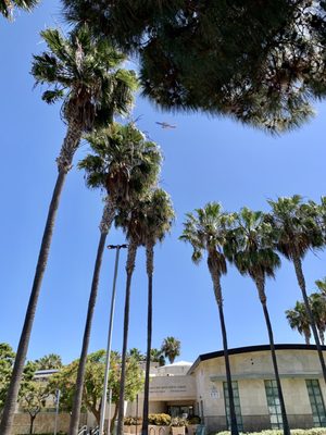 SAN DIEGO PUBLIC LIBRARY - POINT LOMA/HERVEY BRANCH - Updated June 2025 ...