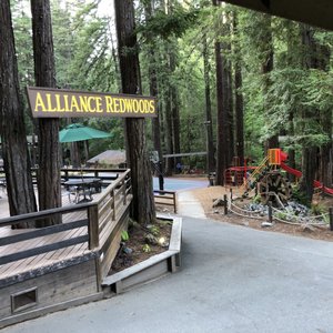 ALLIANCE REDWOODS CONFERENCE GROUNDS - 90 Photos & 39 Reviews - 6250 ...