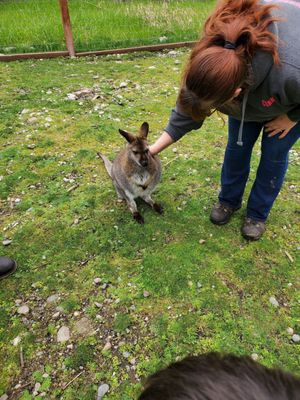 DEBBIE DOLITTLE’S PETTING ZOO - Updated February 2026 - 421 Photos ...