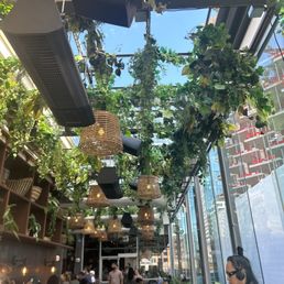 BARO - Updated September 2025 - 391 Photos & 215 Reviews - 485 King ...