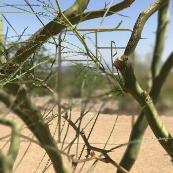 KNICKERBOCKER PARK - Updated September 2025 - 117 Photos & 43 Reviews ...