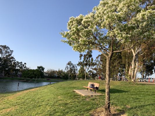 TRI-CITY PARK - 397 Photos & 120 Reviews - 2301 N Kraemer Blvd ...