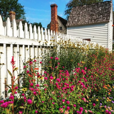 SHIELDS TAVERN - Updated July 2024 - 139 Photos & 205 Reviews - 422 E ...