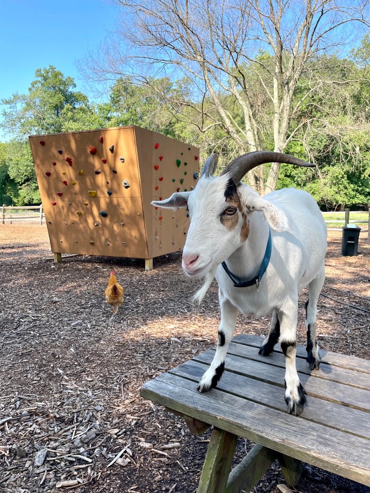 WILD KID ACRES - 11 Photos - 731 Central Ave E, Edgewater, MD - Yelp