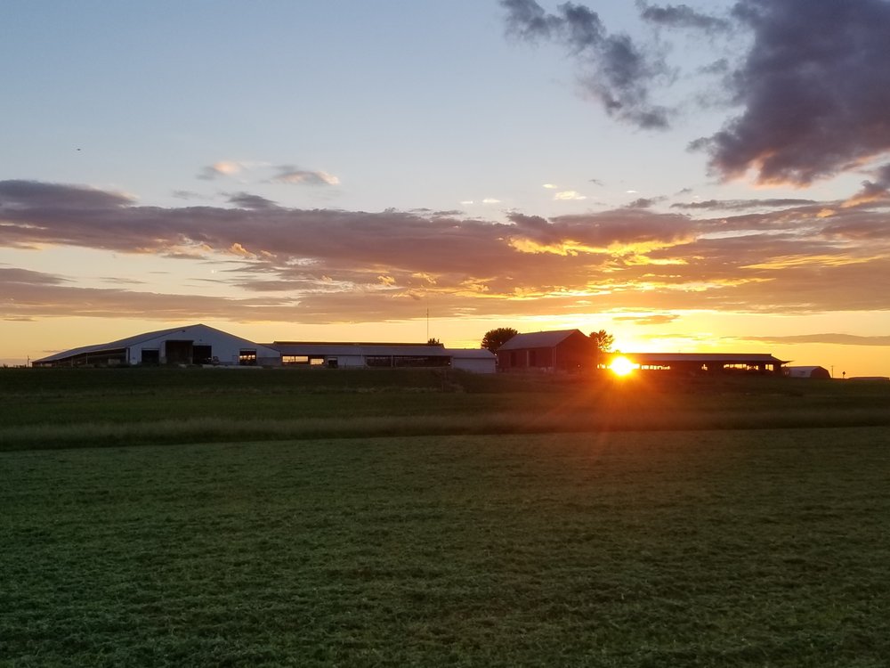 BRICKSTEAD DAIRY - Updated July 2025 - 1734 Wayside Rd, Greenleaf ...