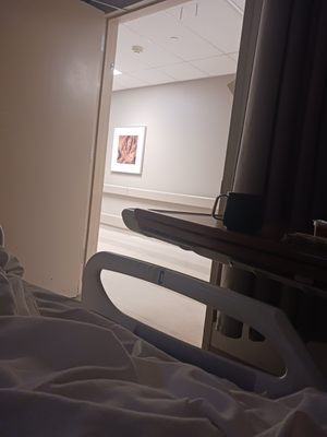 IU HEALTH METHODIST HOSPITAL - Updated December 2025 - 52 Photos & 105 ...