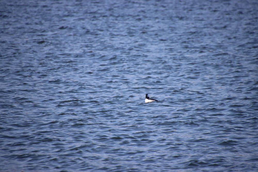 HARRY TAPPEN BEACH - Updated November 2025 - 45 Photos - 494 Prospect ...