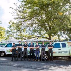 MOSS BUSTERS - 40 Photos & 181 Reviews - 10367 SE Helena St, Portland ...