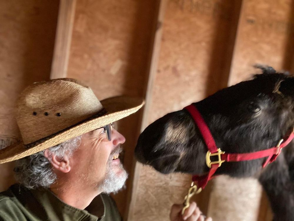 CRABTREE RANCH - Updated October 2025 - Request Consultation - 33 ...