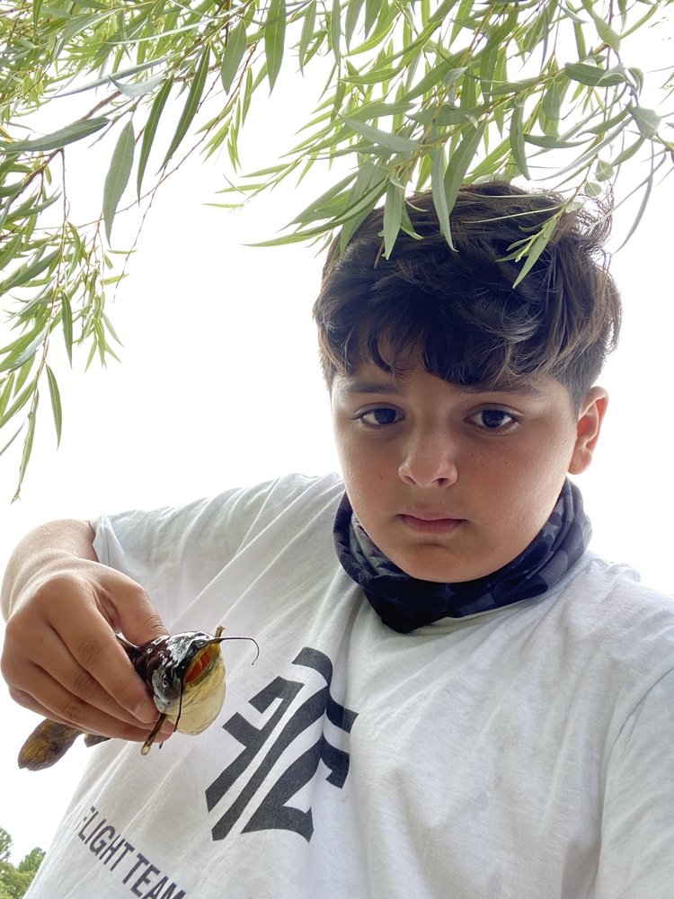 FISHTECH - 30 Reviews - 5802 Dempster St, Morton Grove, IL - Yelp