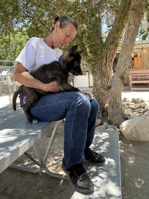 WOLF MOUNTAIN SANCTUARY - Updated December 2025 - 457 Photos & 190 ...