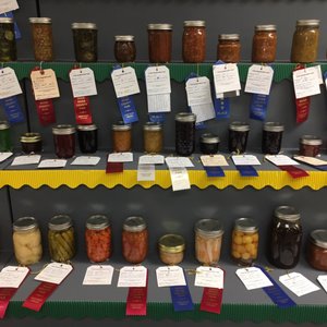 WAAAM - WESTERN ANTIQUE AEROPLANE & AUTOMOBILE MUSEUM - Updated June ...