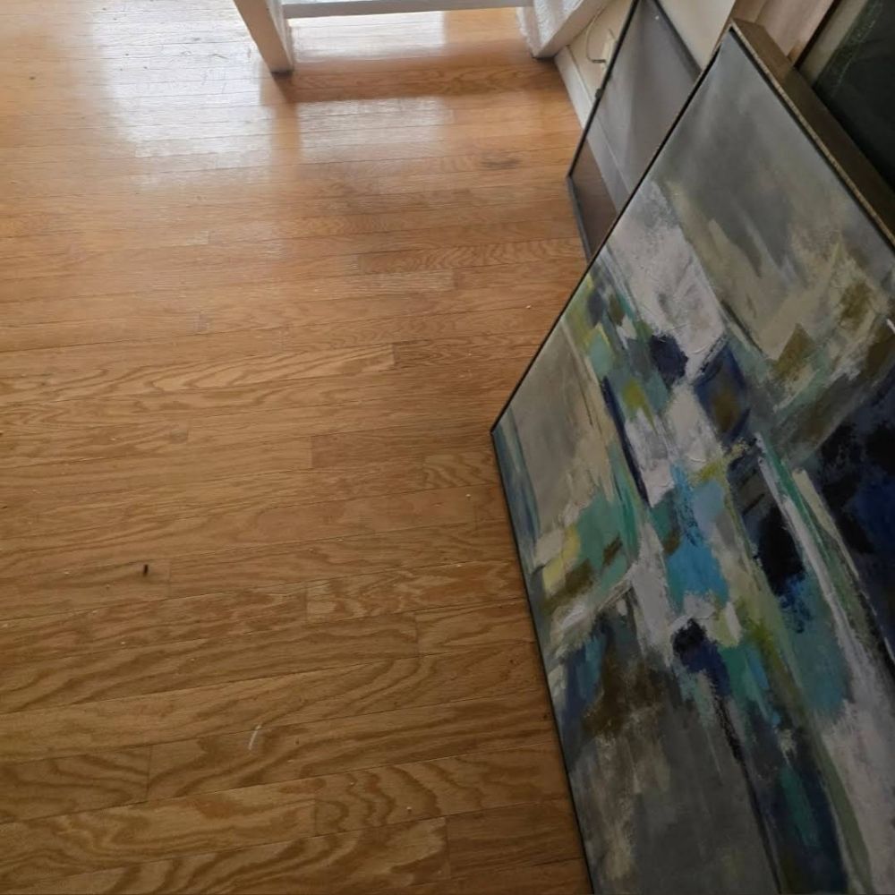 THE JUNK PEOPLE - Updated April 2025 - 88 Photos - 153 Covehaven ...