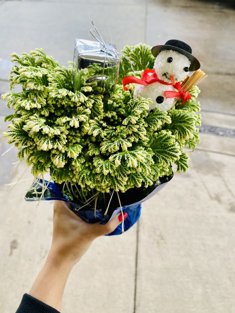 QFC - Updated May 2025 - 11 Photos & 37 Reviews - 6940 Coal Creek Pkwy ...