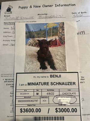 ALL PETS CLUB - Updated November 2025 - 69 Photos & 63 Reviews - 479 E ...