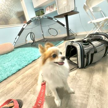 SWEET CORNER CAFE - Updated July 2024 - 230 Photos & 117 Reviews - 99 ...