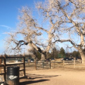 SPRING CANYON PARK - Updated December 2025 - 34 Photos & 22 Reviews ...