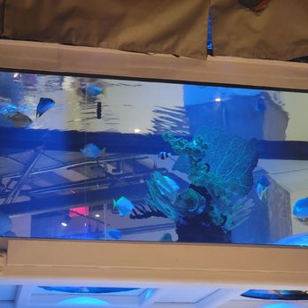 MRS FISH - Updated July 2024 - 4687 Photos & 1773 Reviews - 448 South ...