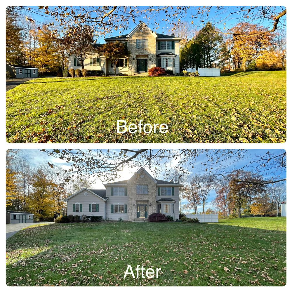 RODERICK AND SONS TREE SPECIALISTS - Updated August 2025 - Request ...