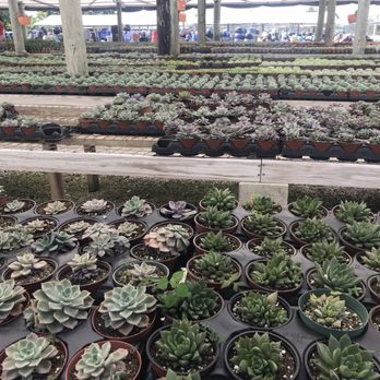 ISAAC FARMS - Updated January 2025 - 446 Photos & 111 Reviews - 18800 ...