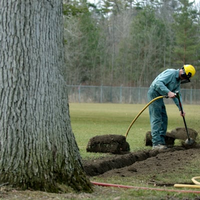 THE DAVEY TREE EXPERT COMPANY - Updated October 2025 - 29 Photos & 78 ...