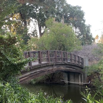 UC DAVIS ARBORETUM AND PUBLIC GARDEN - Updated August 2024 - 1143 ...