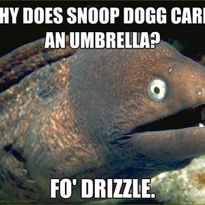 STANBRIDGE UNIVERSITY - 80 Photos & 288 Reviews - 2041 Business Center ...