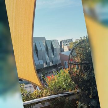 DARLING AVIARY - Updated June 2025 - 894 Photos & 733 Reviews - 712 K ...