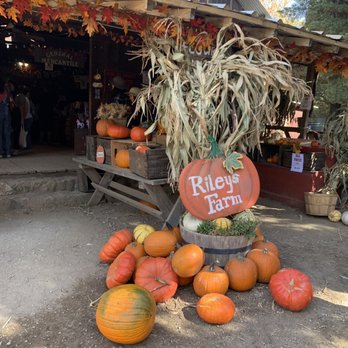 RILEY’S FARM - Updated September 2024 - 881 Photos & 412 Reviews ...