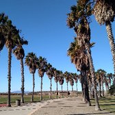OXNARD BEACH PARK - 199 Photos & 51 Reviews - Beaches - 4800-5098 Beach ...