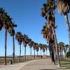 OXNARD BEACH PARK - 199 Photos & 51 Reviews - Beaches - 4800-5098 Beach ...