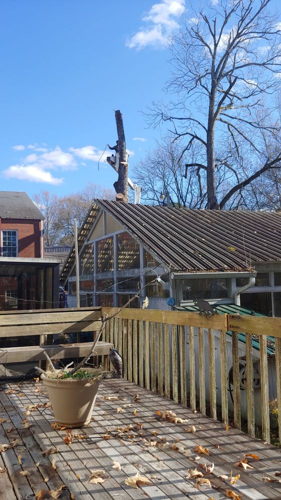 K & S TREE SERVICE - Updated December 2025 - 11 Photos - Russellville ...