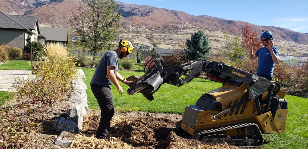 ACER TREES - Updated February 2026 - Farmington, Utah - Tree Services ...