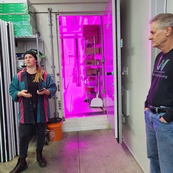 NEON GREENS - Updated July 2025 - 132 Photos & 67 Reviews - 4176 ...